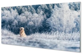 akrylový obraz Zimě salašnický pes 140x70 cm