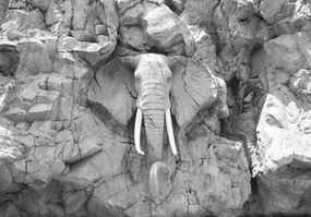 Postershop Fototapeta: Hliněný slon (černobílý) - 368x254cm