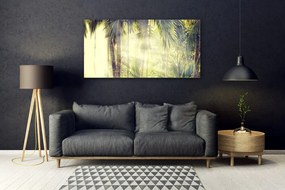 akrylový obraz Les Palmy Stromy Příroda 120x60 cm