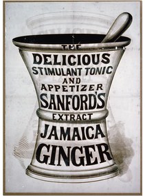 Retro cedule - Jamaica Ginger