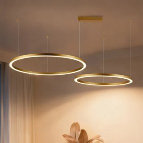 Brilagi - LED Stmívatelný lustr na lanku PORTOFINO LED/98W/230V zlatá +DO