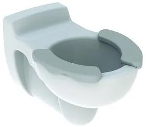 Geberit Bambini - Závěsné dětské WC, bílá/šedá plocha 201715000