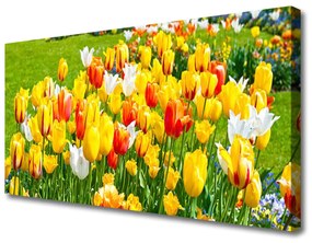 Obraz na plátně Tulipány Květiny Příroda 125x50 cm