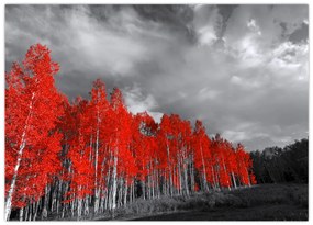 Skleněný obraz - Stromy v barvě podzimu (70x50 cm)