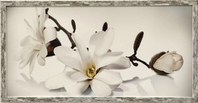 Bondecor Obraz "Magnolie" - tisk na papír, zarámovaný, 100x50cm