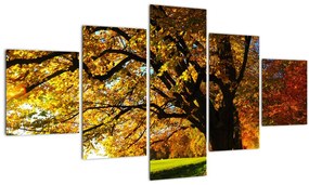 Obraz podzimního stromu (125x70 cm)
