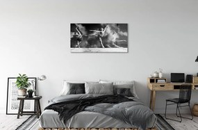 Obraz na skle Dámská Baleríny kouř 125x50 cm