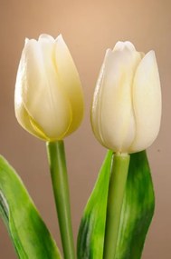 Paramit Umělý tulipán světle žluto bílý 40 cm