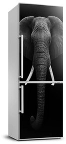 Wallmuralia Nálepka fototapeta lednička Africký slon 60x180 cm