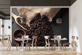 Malvis Tapeta Zrna kávy Vel. (šířka x výška): 288 x 200 cm