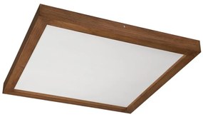 Brilagi - LED Koupelnové svítidlo WOODY FRAME LED/40W/230V 60x60 IP44 dub třešeň