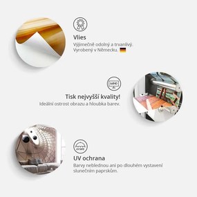 Fototapeta - World Map for Kids