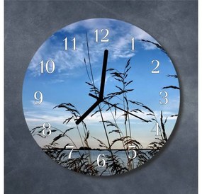 Nástěnné hodiny obrazové na skle - Tráva u jezera