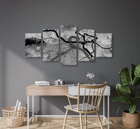 5-dílný obraz surrealistické stromy v černobílém provedení Varianta: 100x50