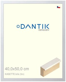 DANTIK rámeček 40x50 | KASSETTE bílá (Plexi Čiré)