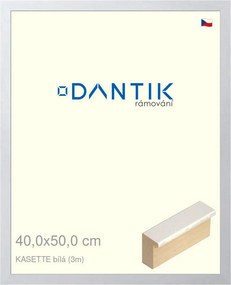 DANTIK rámeček 40x50 | KASSETTE bílá (Plexi Čiré)