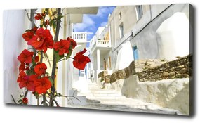 Wallmuralia Foto obraz na plátně Myonos Řecko 100x50