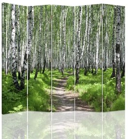 Ozdobný paraván Příroda březového lesa - 180x170 cm, pětidílný, klasický paraván