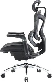 Sihoo DORO-C300-PRO černá / Kancelářská židle / síťovina