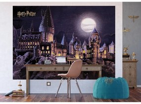 Dětská fototapeta Harry Potter Hogwarts Moon 252 x 182 cm, 4 díly