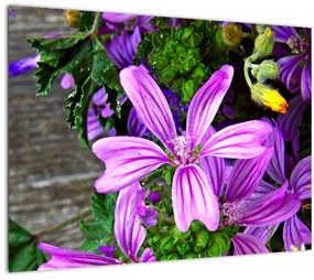 Obraz - luční květiny (70x50 cm)