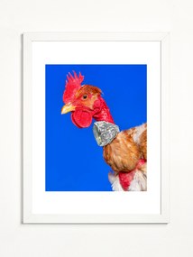 Radka Korandová | Zrození by Anna Baum 2 Rám: Černý, Velikost: 60 x 40 cm