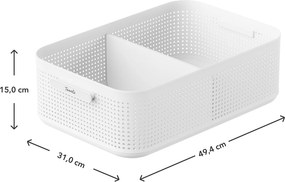 Rotho Úložný box do skříně, šatní organizér LISORA - L, 49,4 × 31 × 15 cm