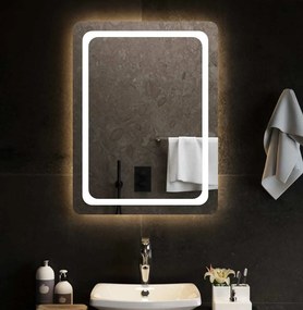 vidaXL Koupelnové zrcadlo s LED osvětlením 60 x 80 cm [3154096]