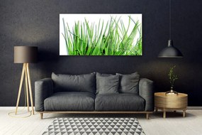 akrylový obraz Tráva 120x60 cm