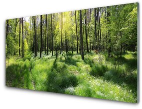 Obraz na skle Les Tráva Rostlina Příroda 120x60 cm