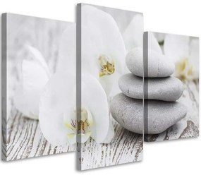 Obraz na plátně třídílný Orchid Stones Zen Spa - 120x80 cm