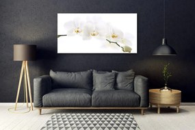 akrylový obraz Květíny Rostlina 120x60 cm
