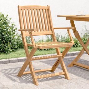 Skládací zahradní židle 2 ks 58 x 54,5 x 90 cm masivní akácie - Default Title