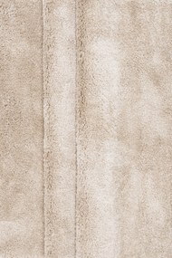 Obdélníkový koberec Walter, béžový, 340x240