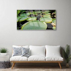 Obraz na skle Listy Jezero Příroda 120x60 cm