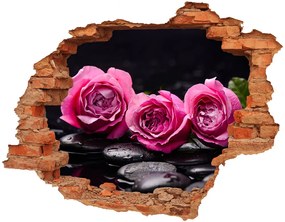 Wallmuralia Samolepící díra na stěnu Růžové růže 90x70 cm