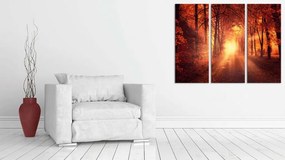 Malvis ® Obraz oranžový les Velikost: 90x70 cm