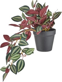 Butlers FLORISTA Peperomia v květináči 44 cm