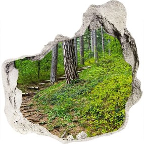 Wallmuralia Díra 3D ve zdi nálepka Lesní stezka 75x75 cm