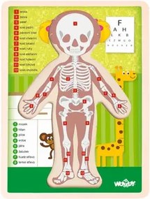 Woody Puzzle Lidské tělo - Holka CZ / od 3 let