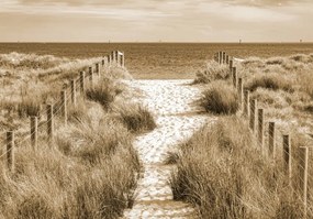 Fototapeta Pojďme Dolů Na Pláž Sepia Hladký vinyl 208x146