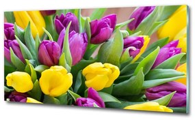Wallmuralia Foto obraz sklo tvrzené Barevné tulipány 100x50