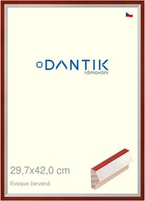 DANTIK rámeček 29,7x42 | EVOQUE červená (Plexi Čiré)
