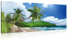 Obraz nádherná pláž na ostrově Seychely Varianta: 100x50