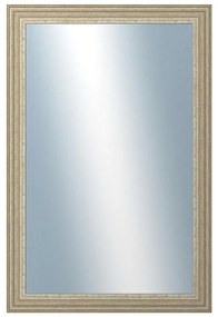 DANTIK - Zarámované zrcadlo - rozměr s rámem cca 40x60 cm z lišty LYON stříbrná (2704)