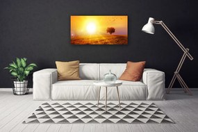 Obraz na plátně Západ Slunce Louka Plátky 125x50 cm