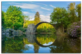 Obraz na plátně - Most v parku v Kromlau 1246A (100x70 cm)