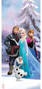 Fototapeta vliesová jednodílná Frozen VII.