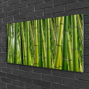 Obraz na skle Bambusový Les Bambusové Výhonky 120x60 cm
