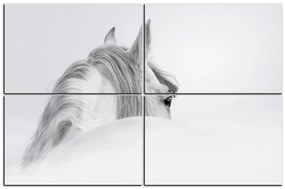 Obraz na plátně - Andaluský kůň v mlze 1219E (150x100 cm)